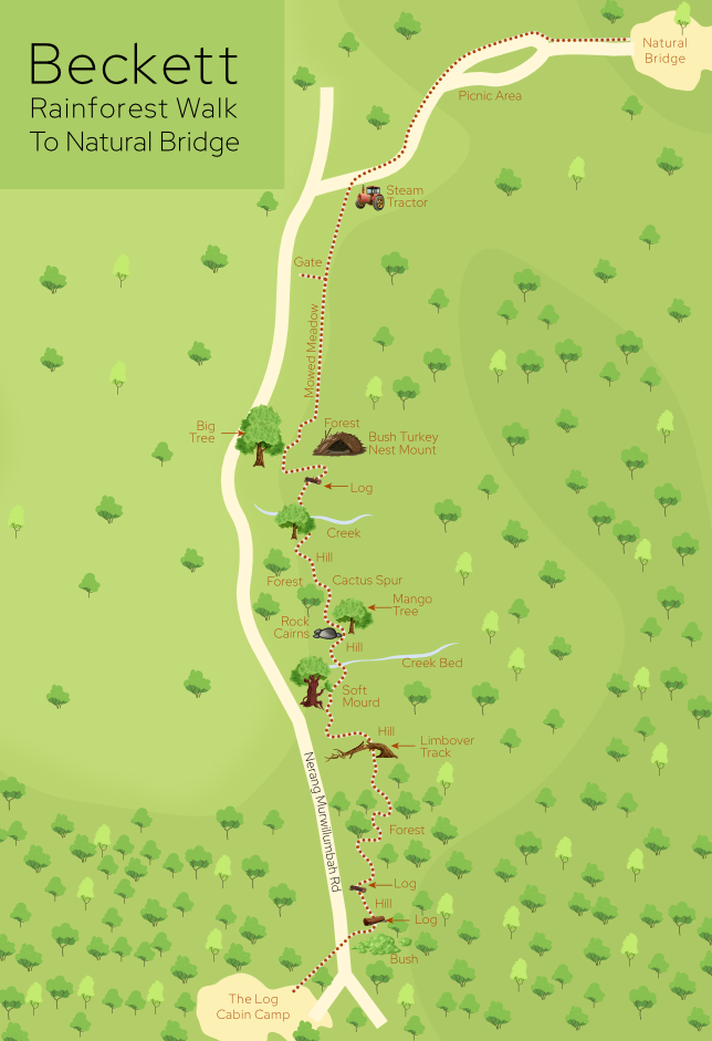 Activities - The Log Cabin Camp